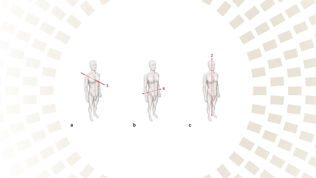 Körperachsen und -ebenen - Student Hub Germany