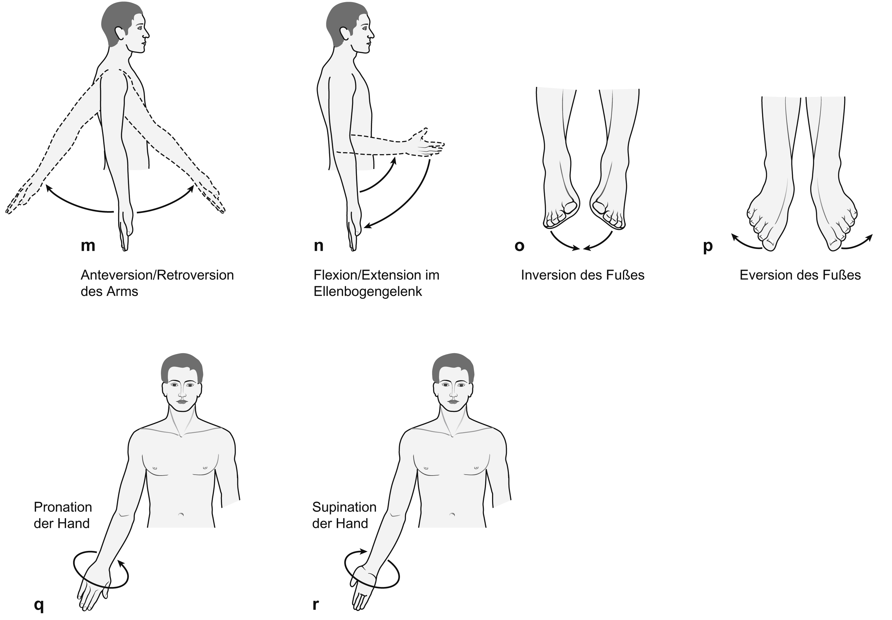 Bewegungsbezeichnungen - Student Hub Germany
