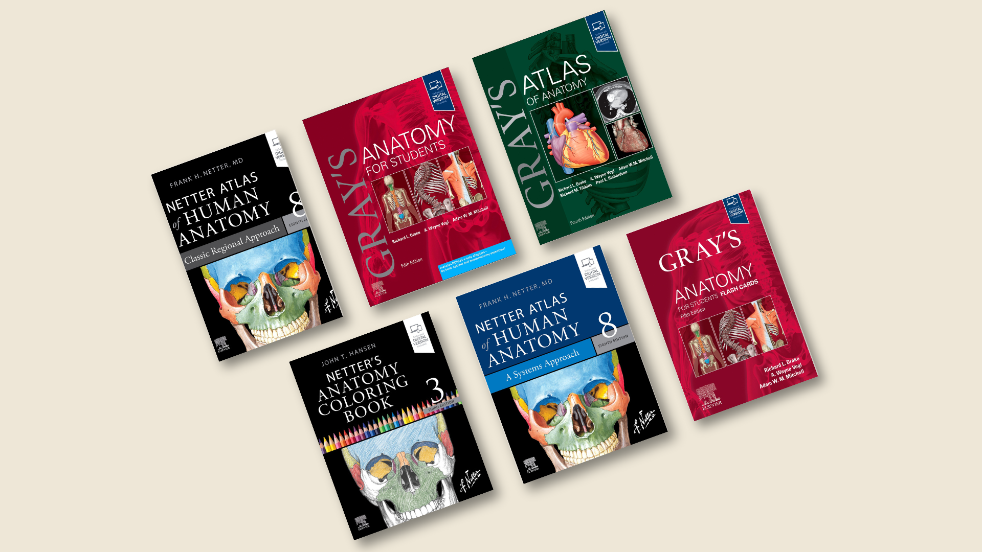 Top Anatomy Books For Your Medical Education Student Hub En