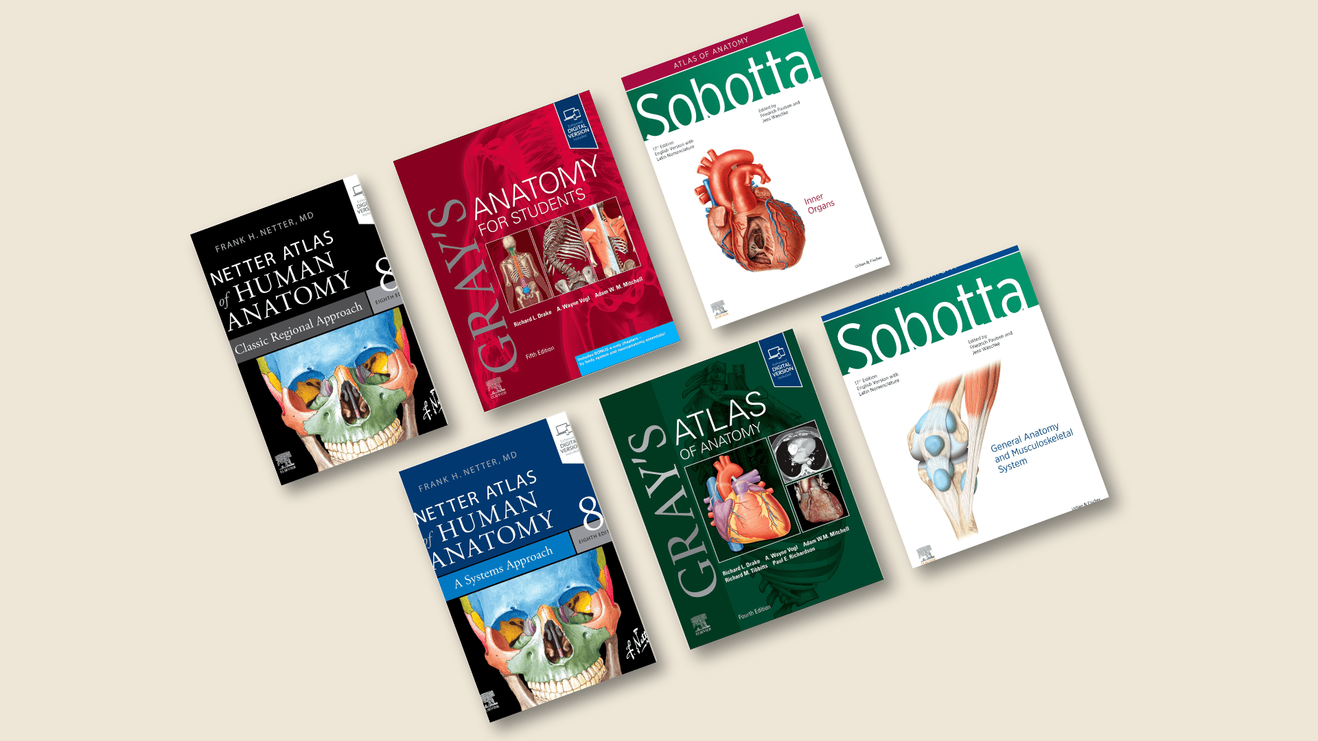 Top Anatomy books for your Medical Education - Student Hub EN
