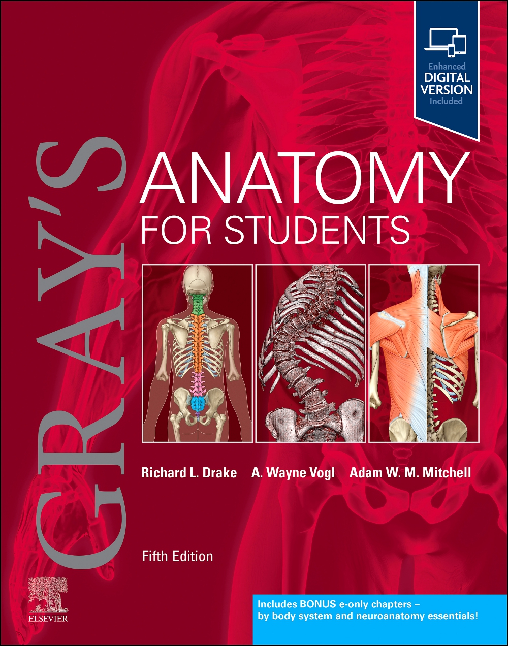 Top Anatomy books for your Medical Education - Student Hub EN
