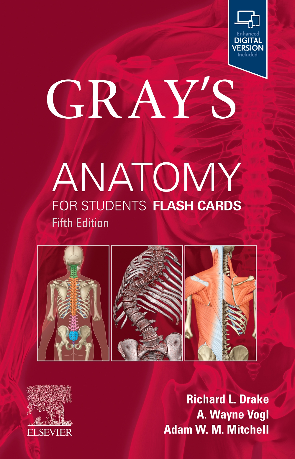 Top Anatomy books for your Medical Education - Student Hub EN