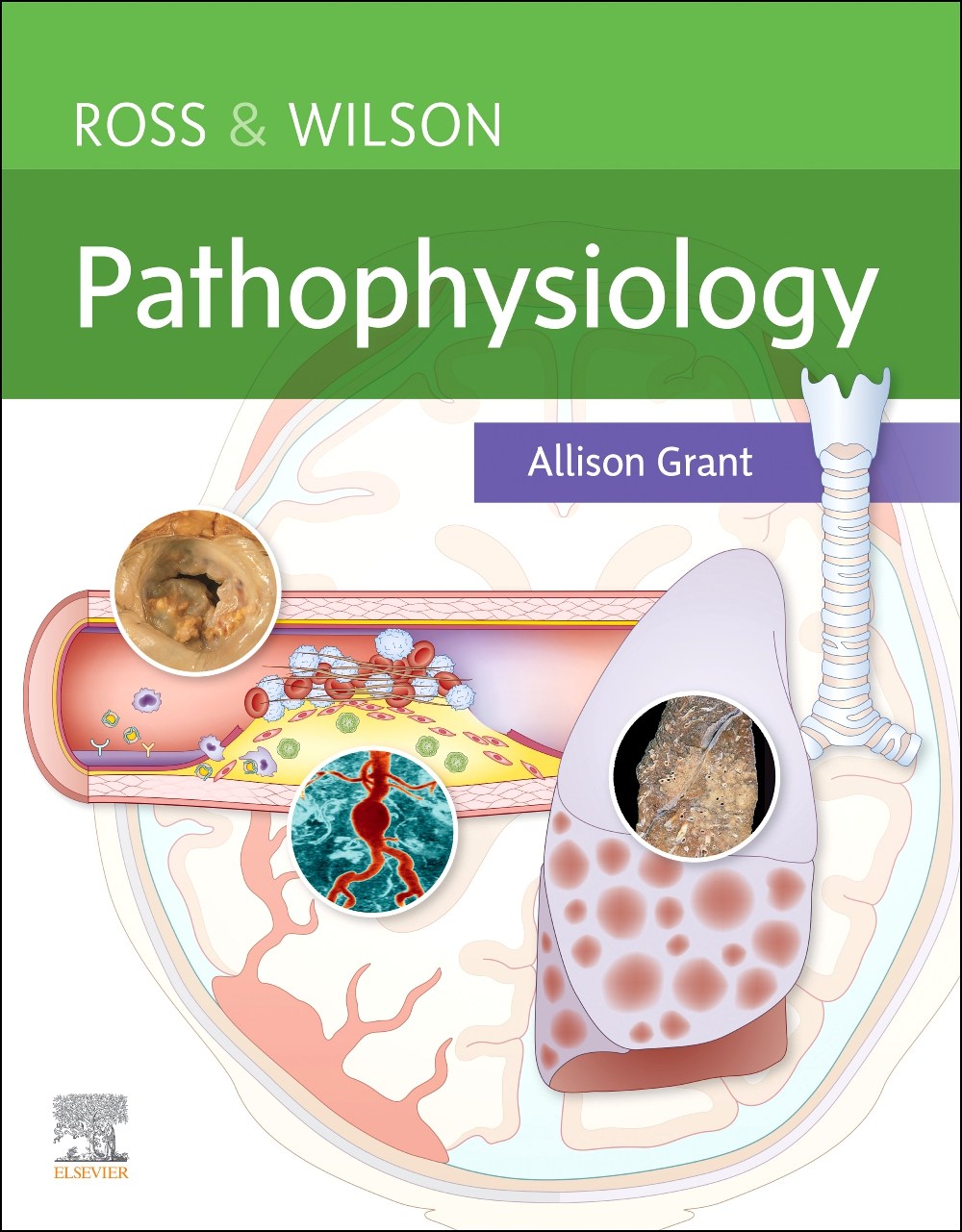 Top Anatomy & Physiology books for your nursing education - Student Hub EN