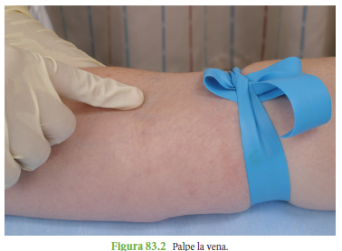 Habilidades y procedimientos enfermeros: venopunción